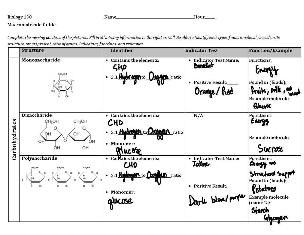 Macromolecule Guide 20-21 - Biology 138 Name Hour Macromolecule Guide ...