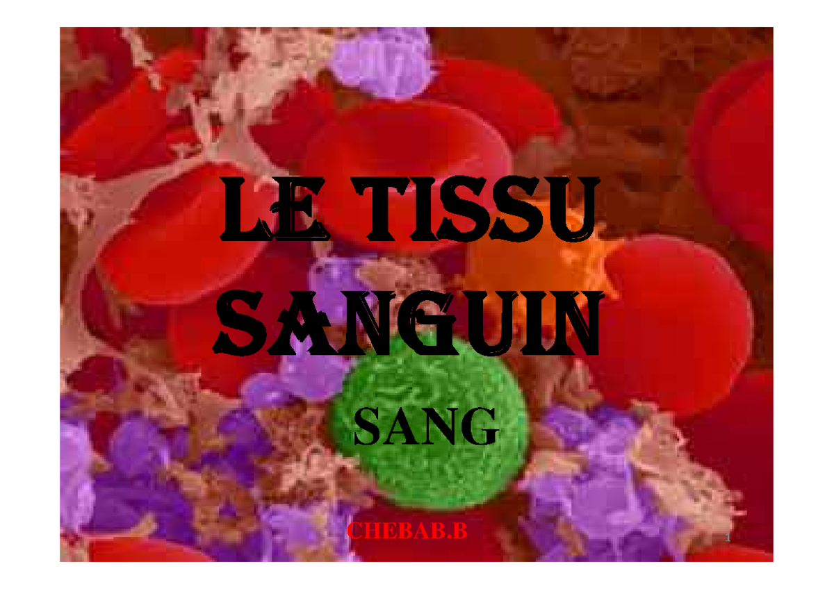 Histo 1an-tissu sanguin chebab - SANGSANG CHEBAB 1 plasma 2 plasma ...