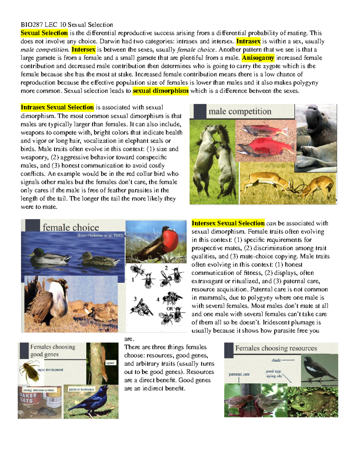 BIO287 LEC10 Outline - Lecture notes 10 - BIO287 LEC 10 Sexual ...