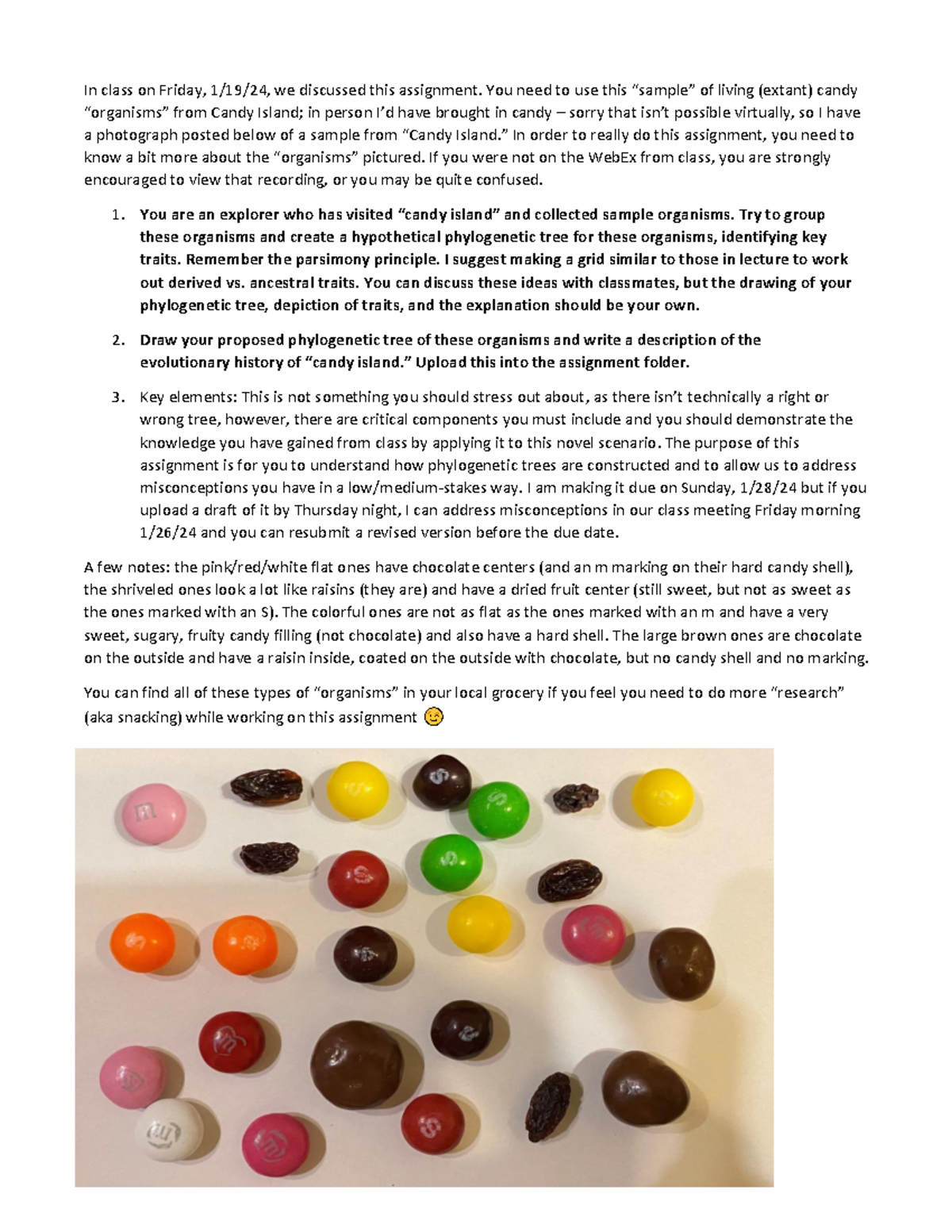 Candy Cladogram Assignment SP24 - In class on Friday, 1/19/24, we ...