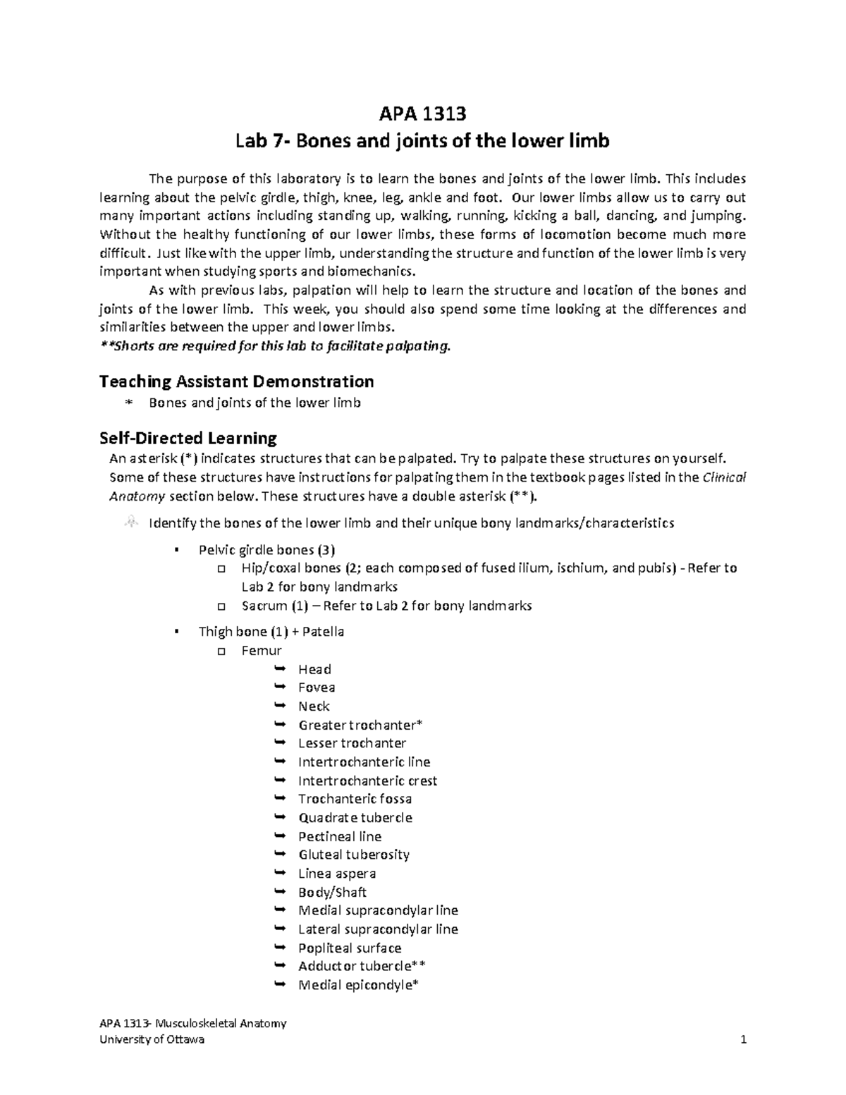 Lab 7 - Bones and joints of the lower limb-2 - APA 1313- Musculoskeletal Anatomy APA 1313 Lab 7 ...