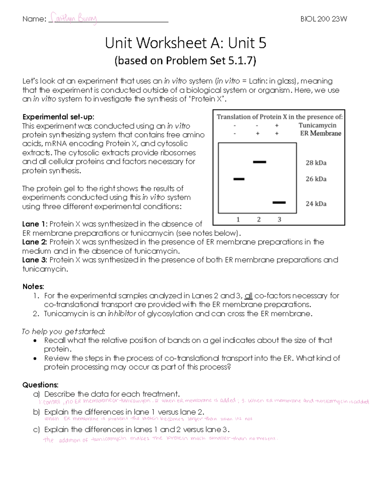 UW Unit5A - sample answers for the unit 5 worksheet - Name