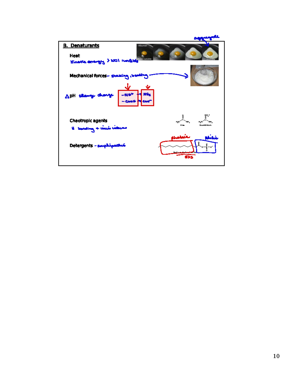Basic Bio Chemistry 11 - 10 O C NH H 2 N 2 NH 2 + C NH Urea HGuanidinium 2 N 2 O O S O O O ...