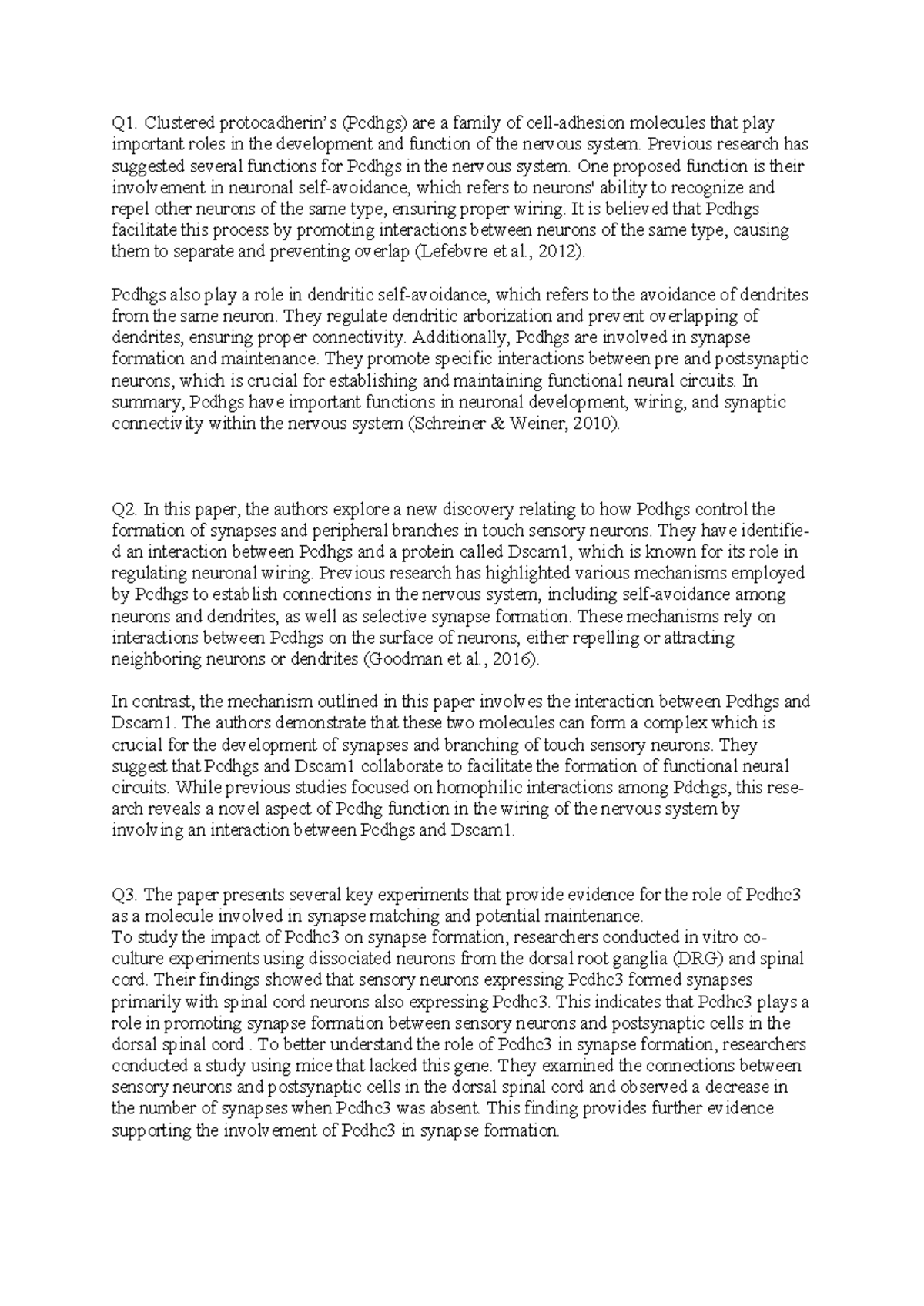 Q1 - NOTES - Q1. Clustered protocadherin’s (Pcdhgs) are a family of ...