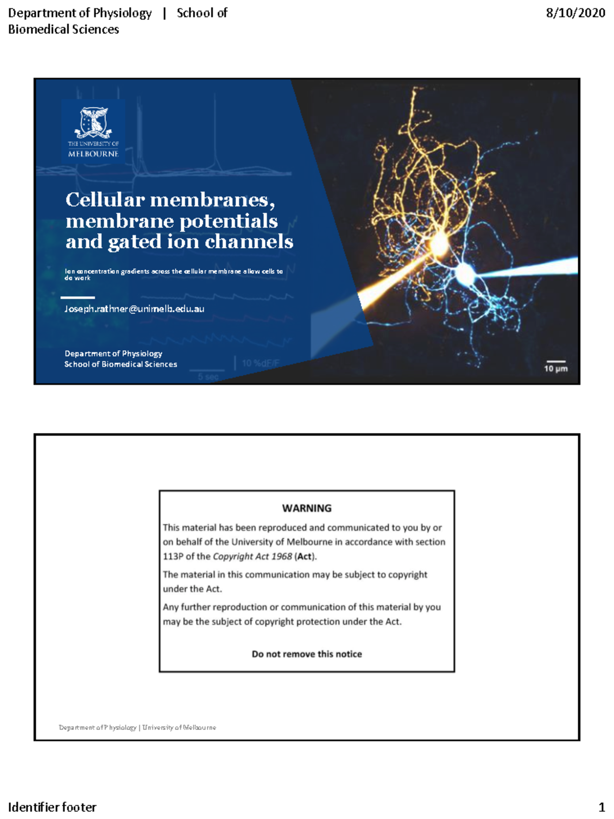 A2 - skeletal system - Warning: TT: undefined function: 32 Warning: TT: undefined function: 32 ...