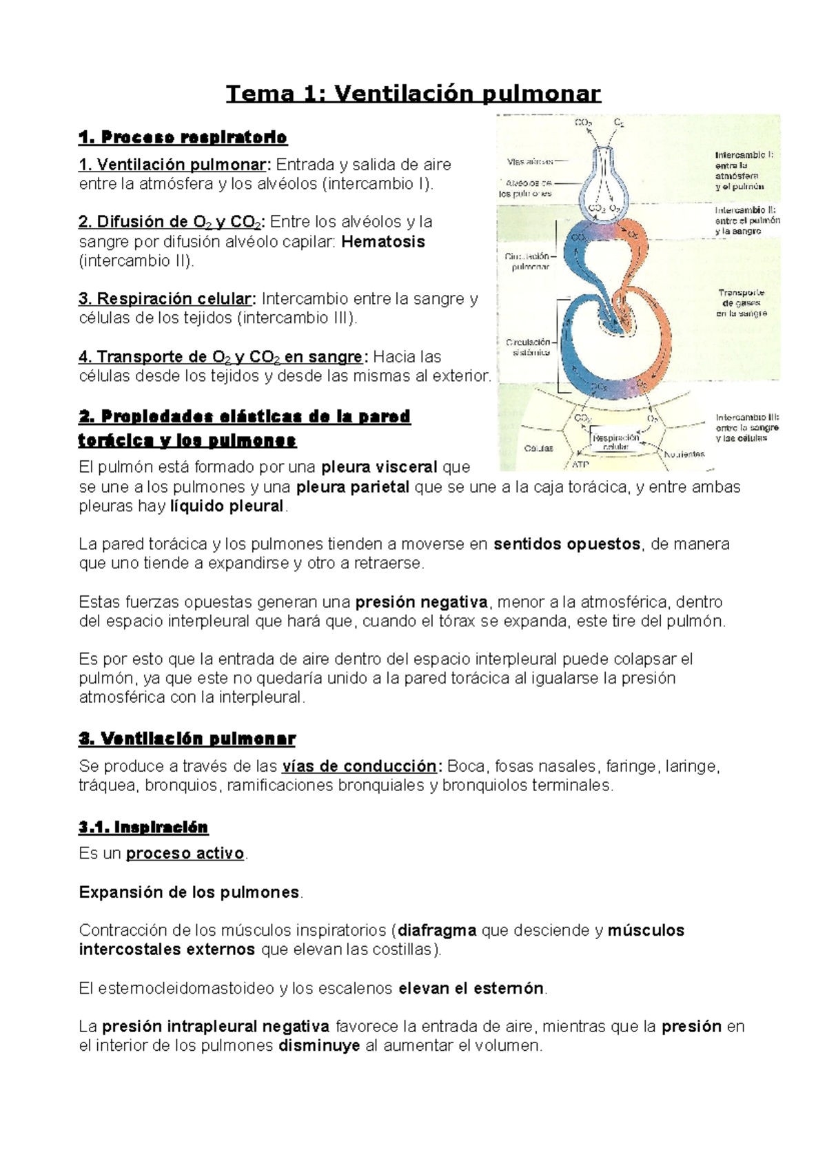 Fisiología del aparato respiratorio - Tema 1: Ventilación pulmonar Proceso respiratorio 1. - Studocu