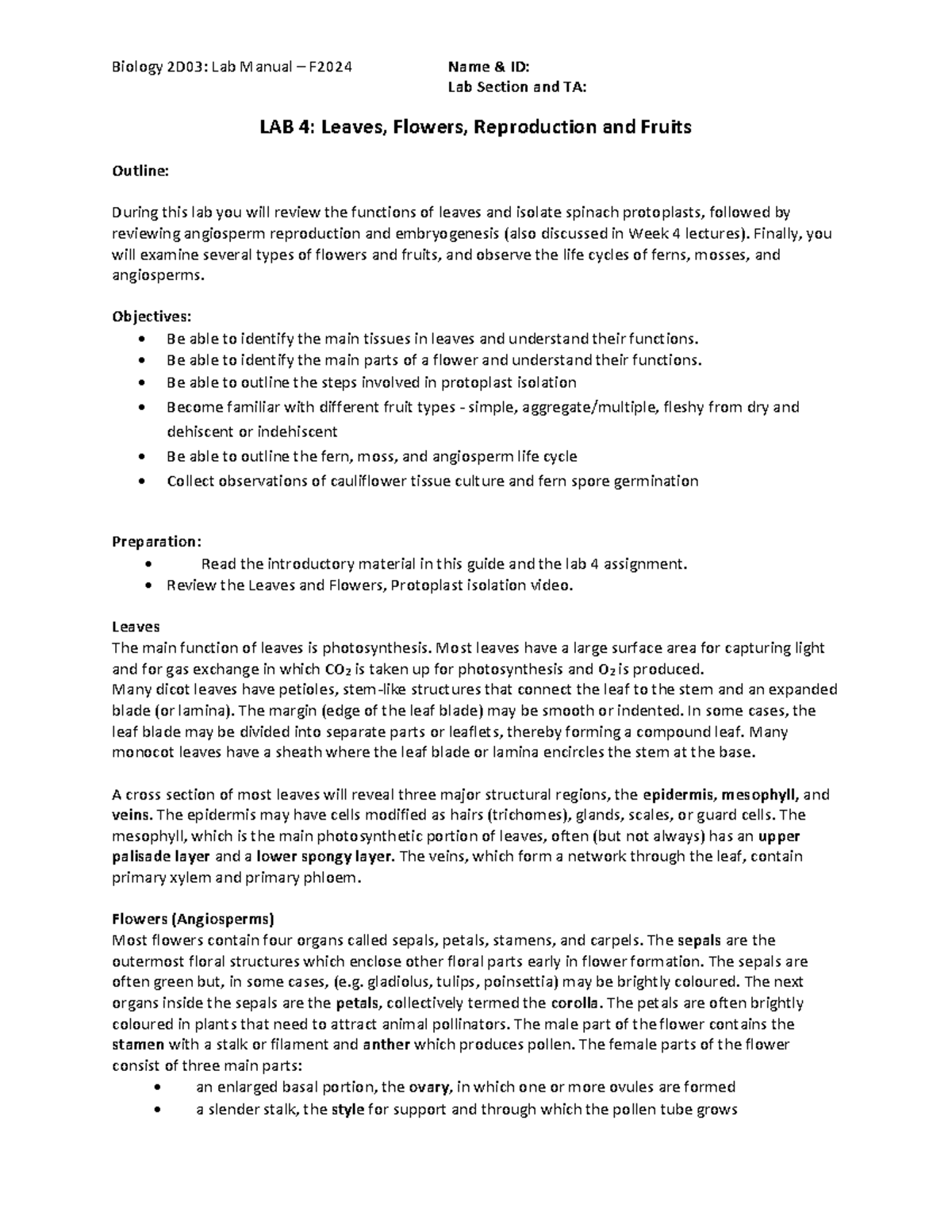 Bio 2D03 Lab 4 - Leaves and Flowers; Reproduction; and Fruits - F24 ...