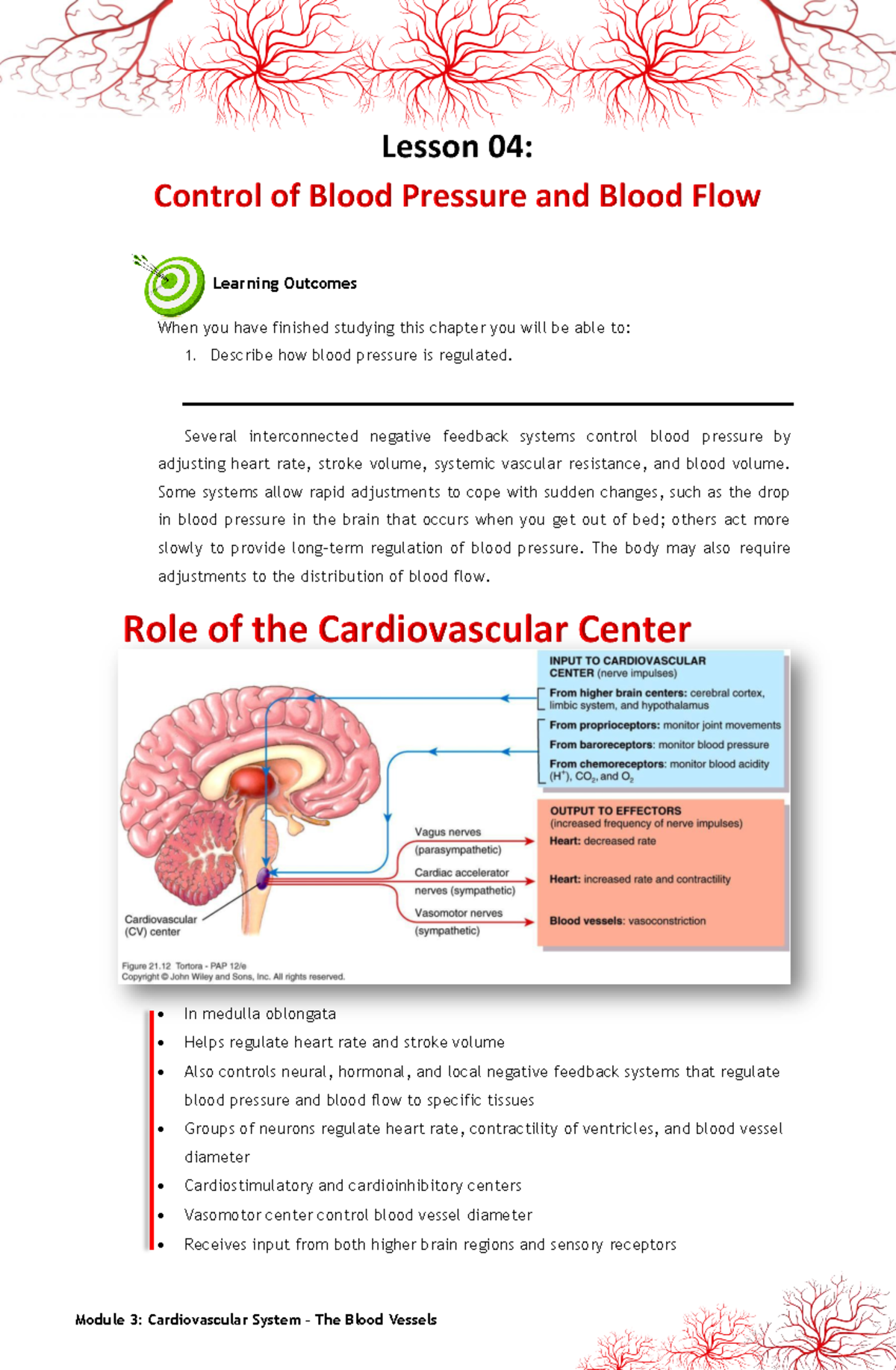 NUMC 101B Module 3 Cardiovascular system - the Blood Vessel Lesson 04 ...