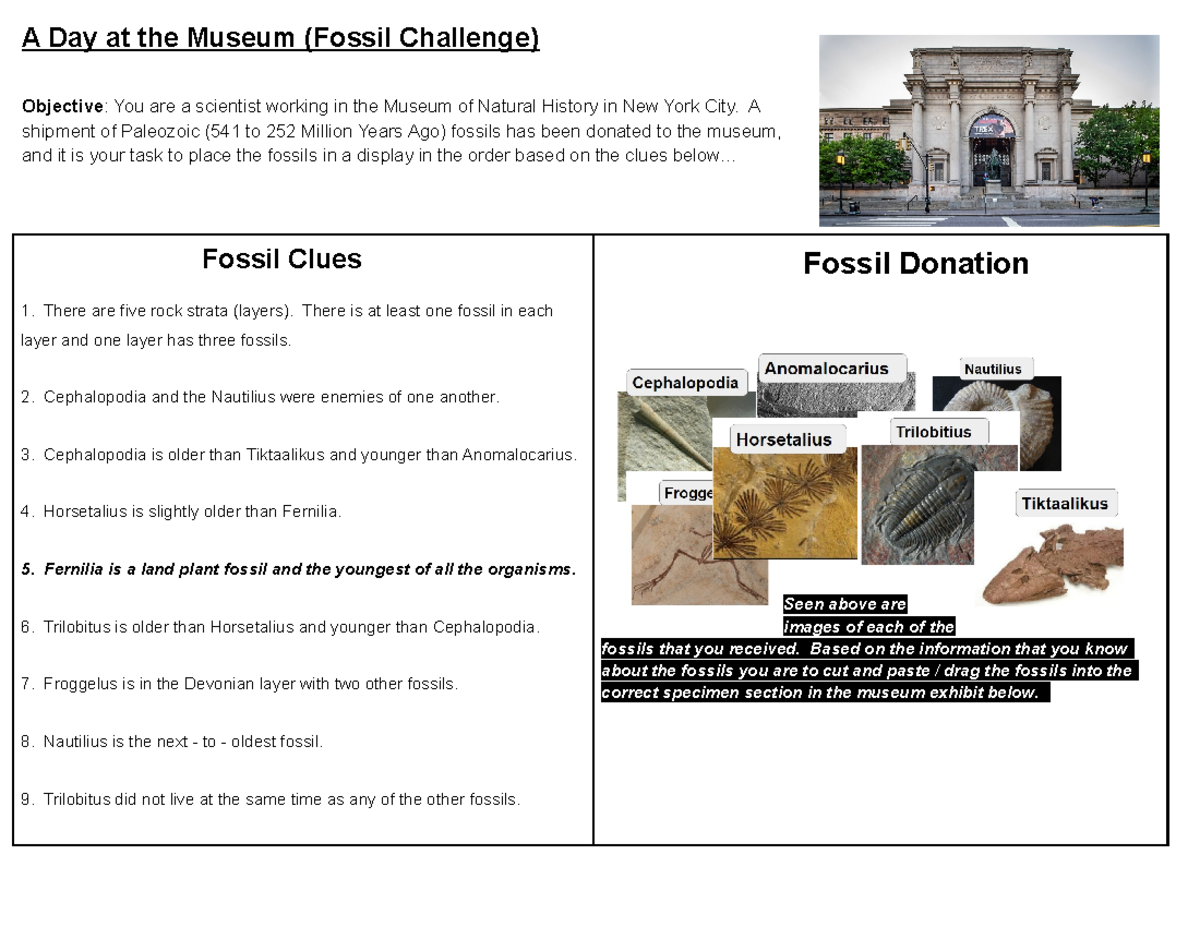 A Day at the Museum (Fossil Challenge) - A Day at the Museum (Fossil ...