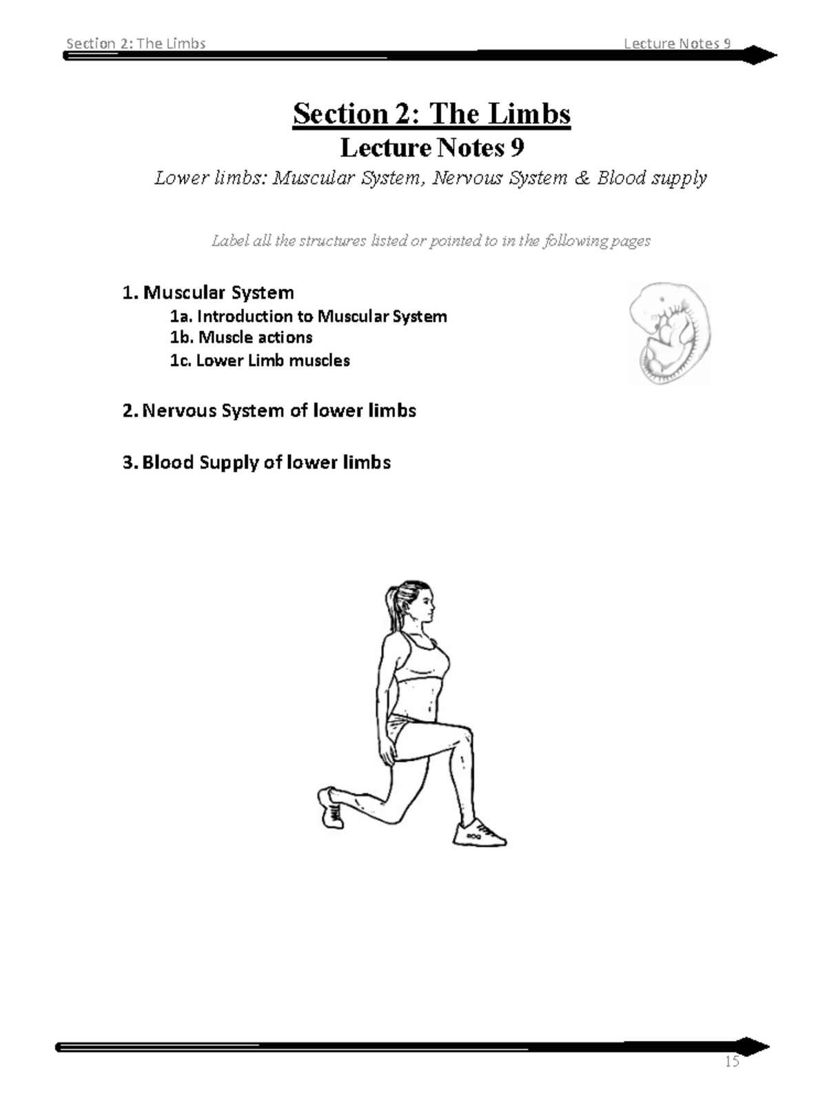 9-Lecture N 9-mnb lower limb - Section 2: The Limbs Lecture Notes 9 ...