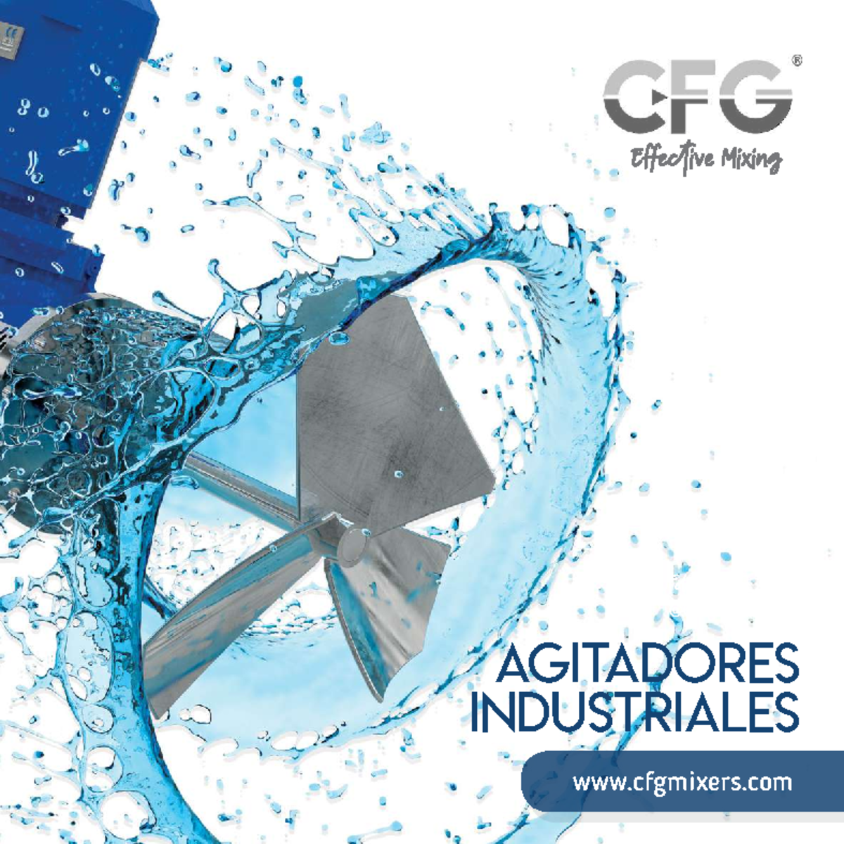 Brochure General CFG - ooooooooooooooooooooooooooooooooooooooooo - Administracion de las ...