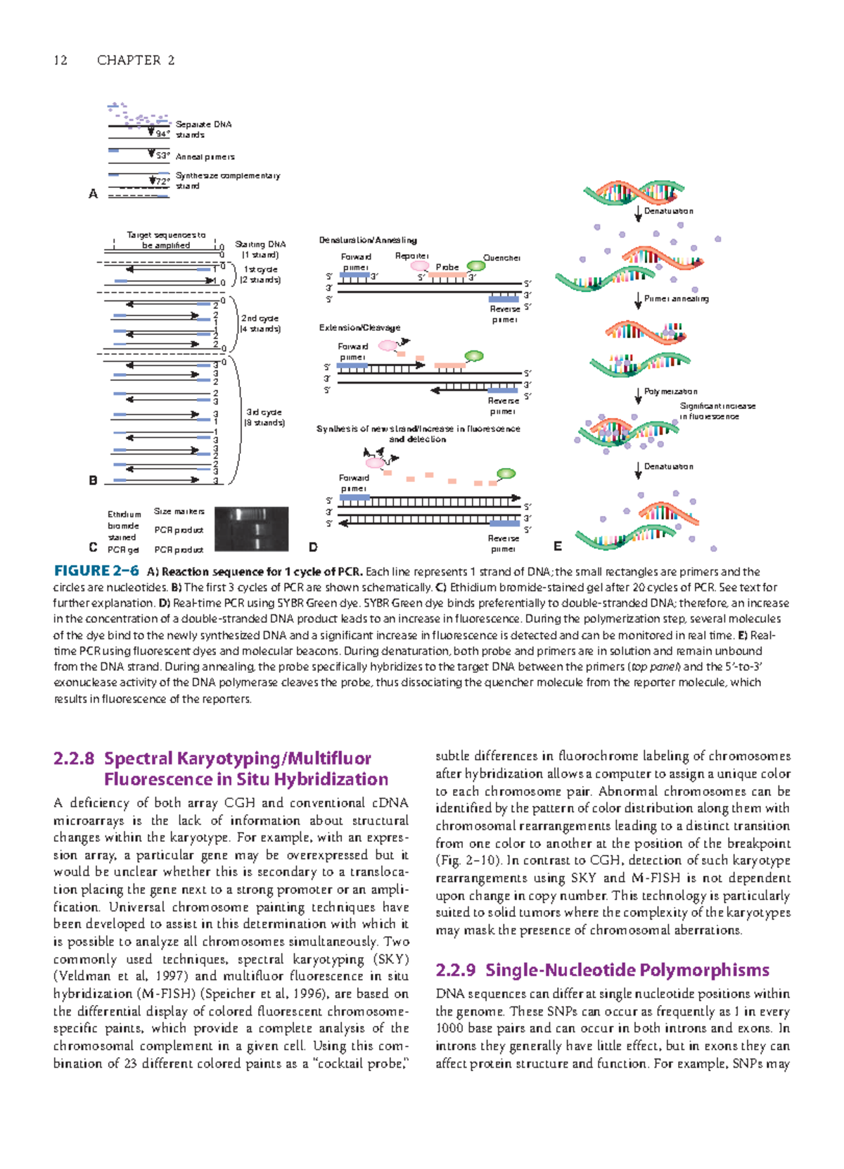 Basic Science of Oncology 5th-9 - 12 CHAPTER 2 2.2 Spectral Karyotyping ...
