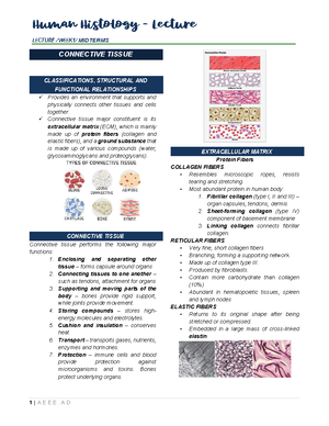 Histology-W1 - Human Histology - Lecture LECTURE /WEEK1/ MODULE 1 | A E E E. A D is one of the ...