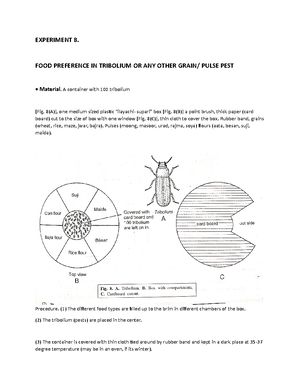 Bird palate - PALATE IN BIRDS In its general features, the skull in ...