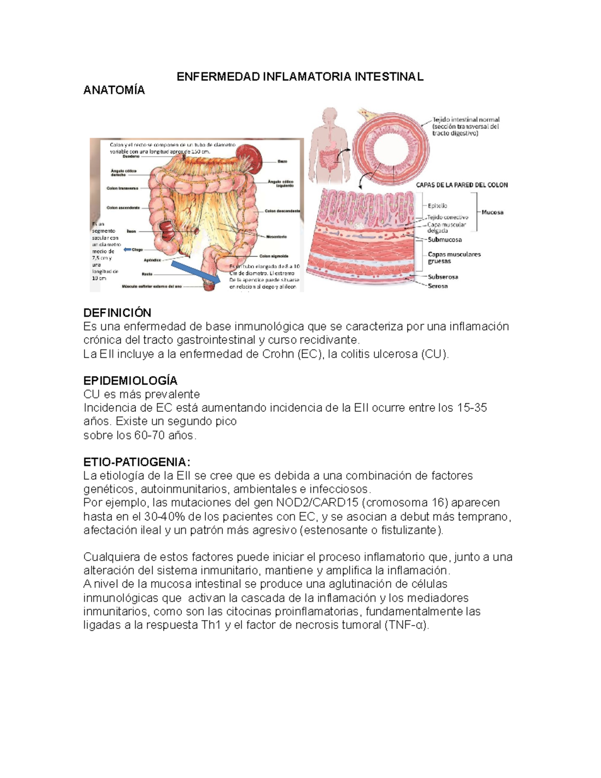 EII (EC y CUCI) - ENFERMEDAD INFLAMATORIA INTESTINAL ANATOMÍA ...