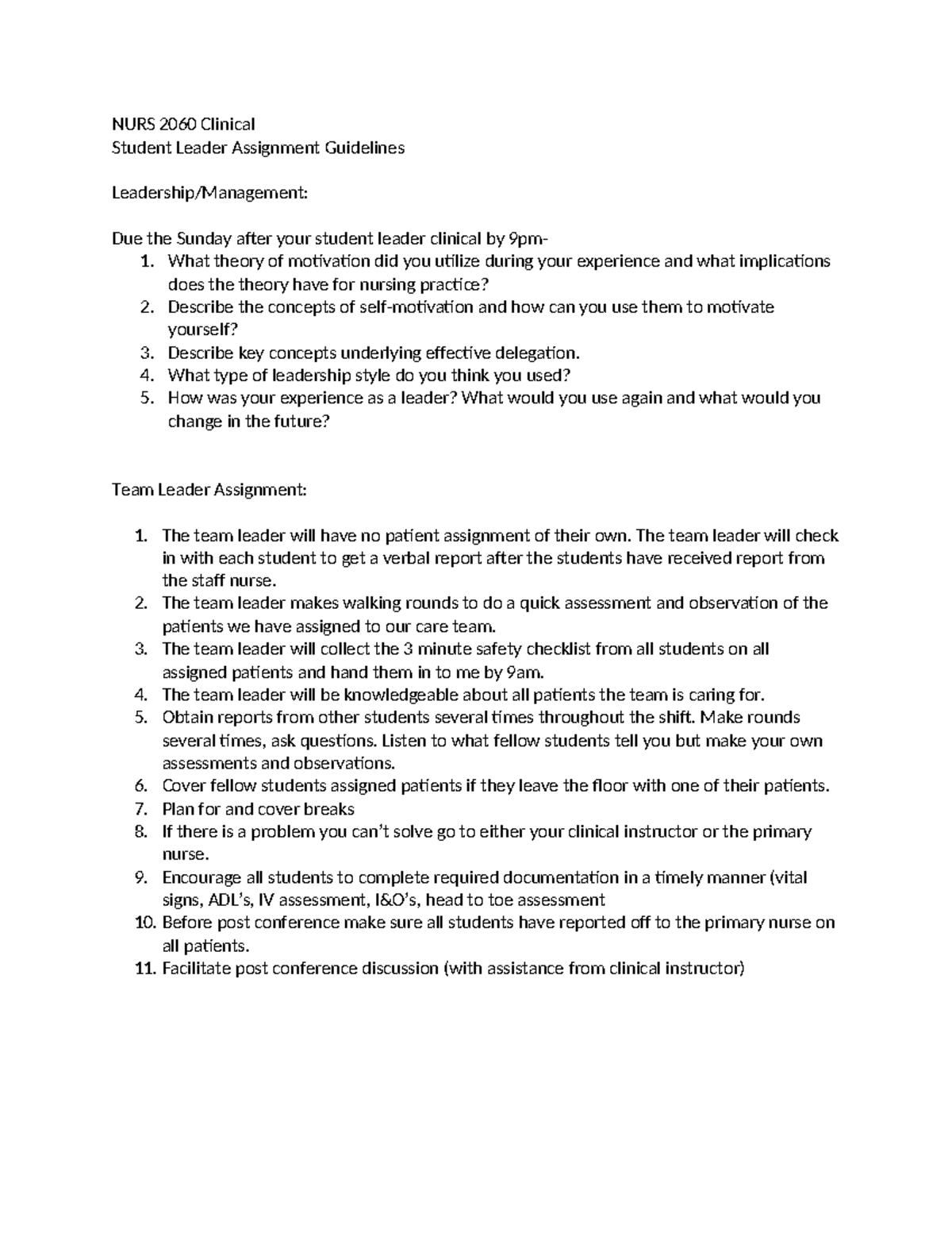 Clinical leader - NURS 2060 Clinical Student Leader Assignment ...