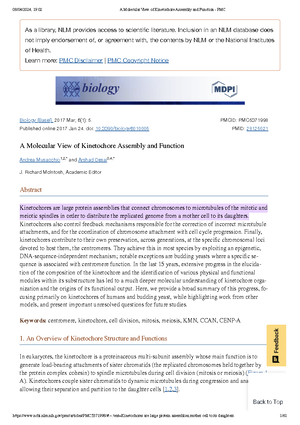 Gram-negative bacteria - Wikipedia - Microscopic image of gram-negative ...