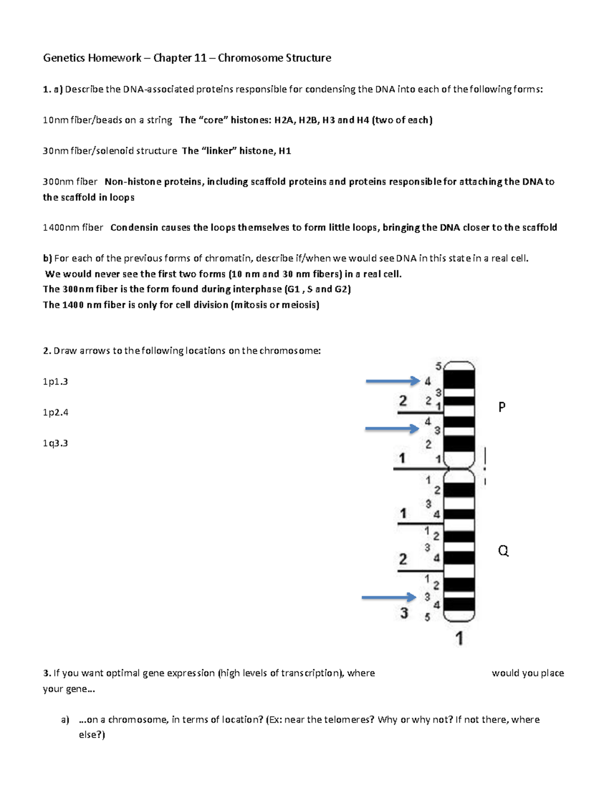 Genetics Homework Chapter 11 Chromosome Stx KEY - Genetics Homework ...