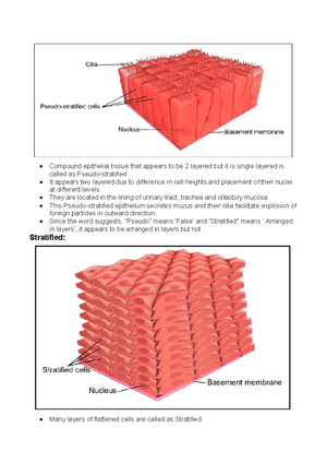Gene Expression- Transcription Worksheet - Gene Expression ...