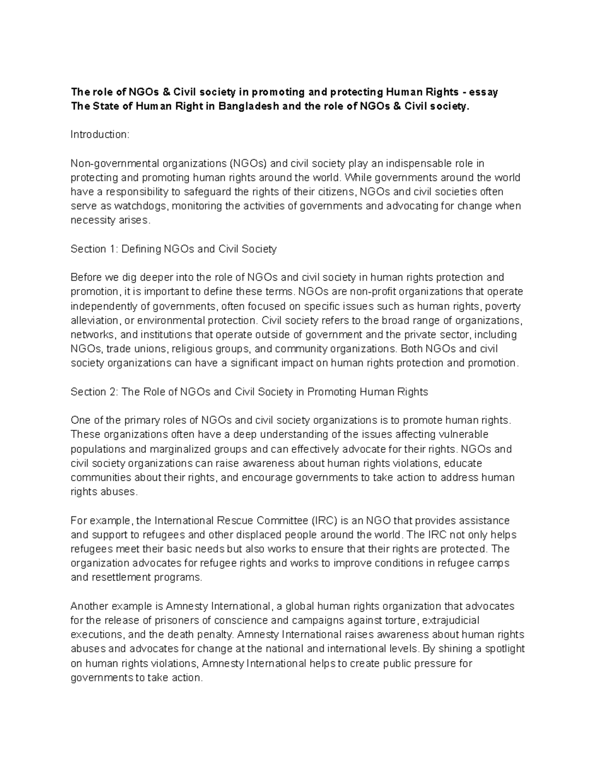 NGO Civil society Human Right - The role of NGOs & Civil society in ...