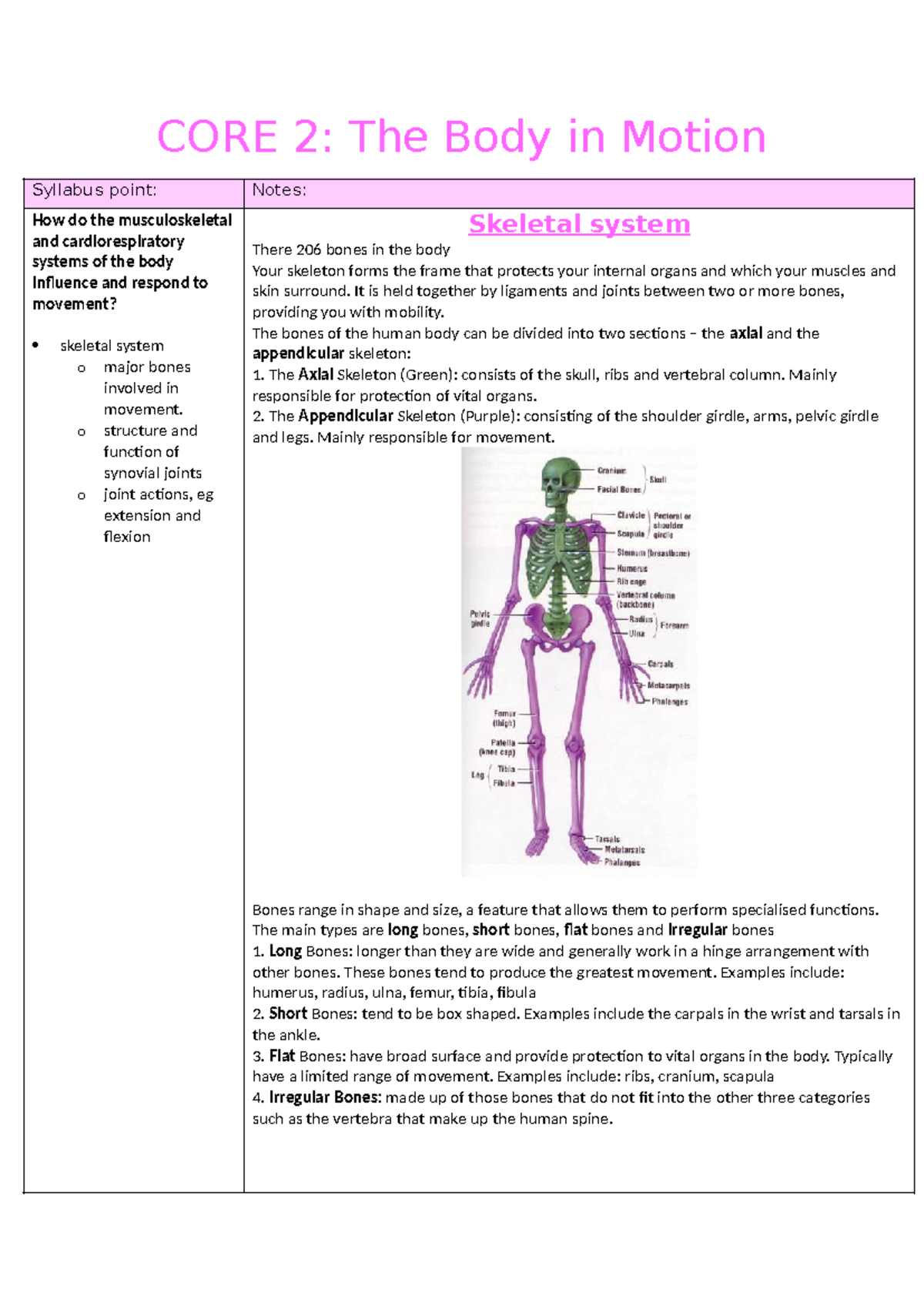 CORE 2 Notes - CORE 2: The Body in Motion Syllabus point: Notes: How do ...