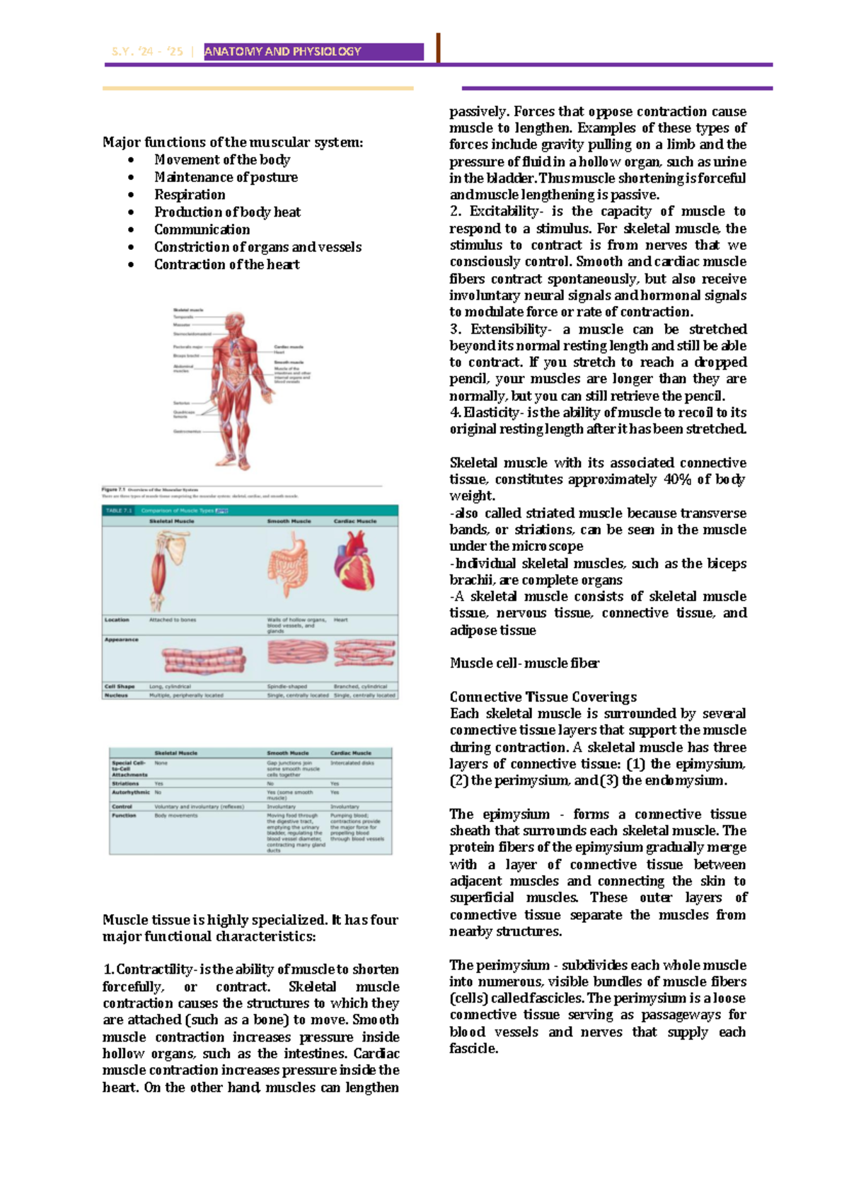 Muscular system - A brief reviewer - Major functions of the muscular ...