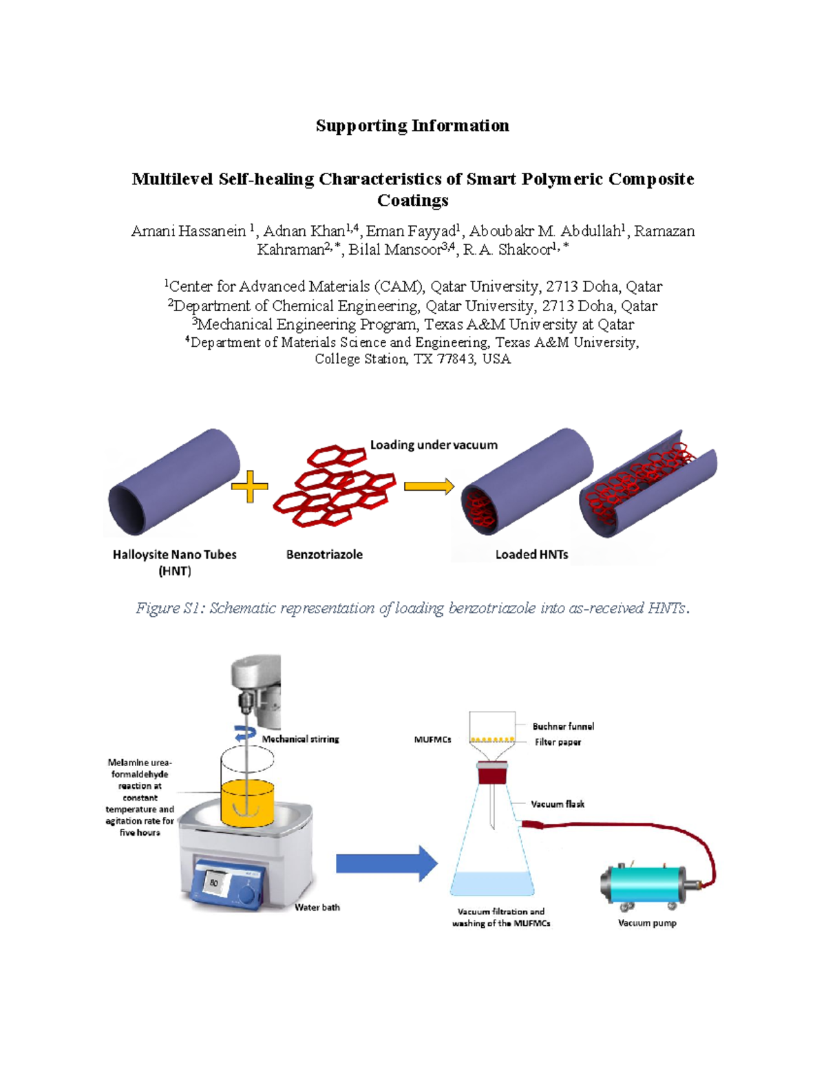 Am1c14406 si 001 - Schematic representation of the experimental set-up ...