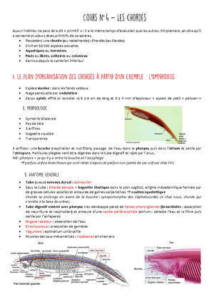 Cours Biologie animale - Chapitre 1 : organisation de l’animal et diversité La biologie animale ...
