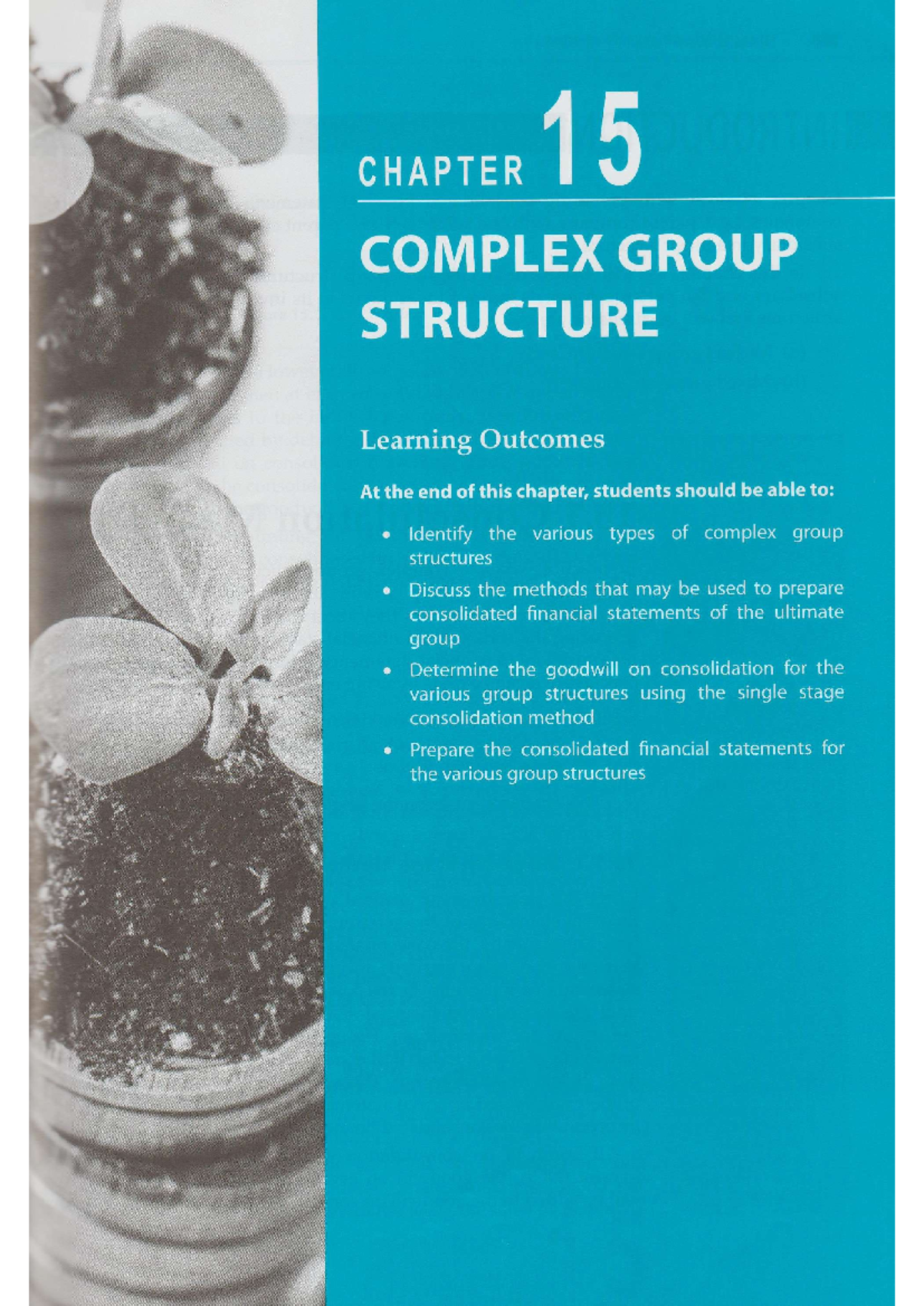 C8 Complex Group Structure - Intermediate Financial Accounting and ...
