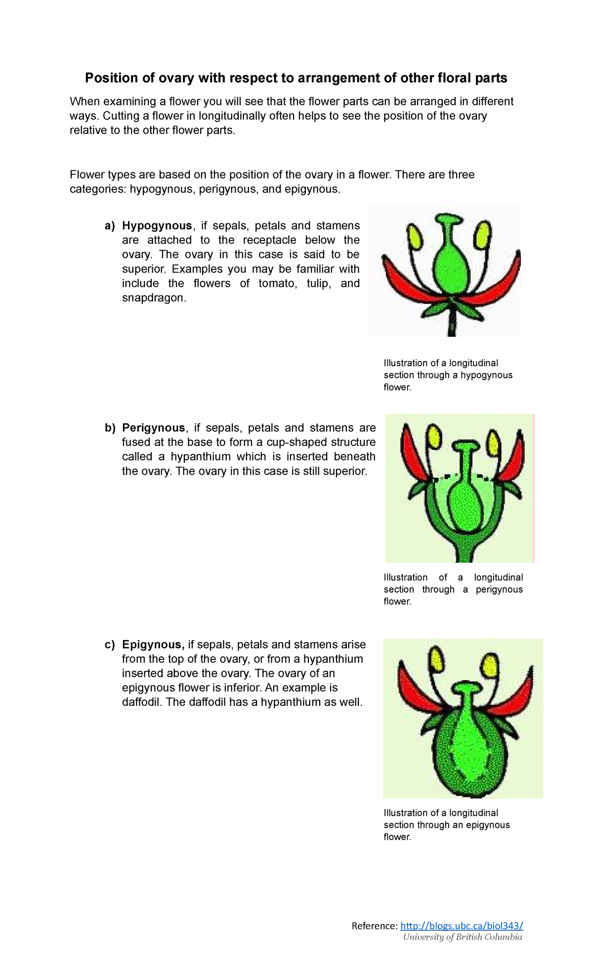 Position of ovary with respect to arrangement of other floral parts ...
