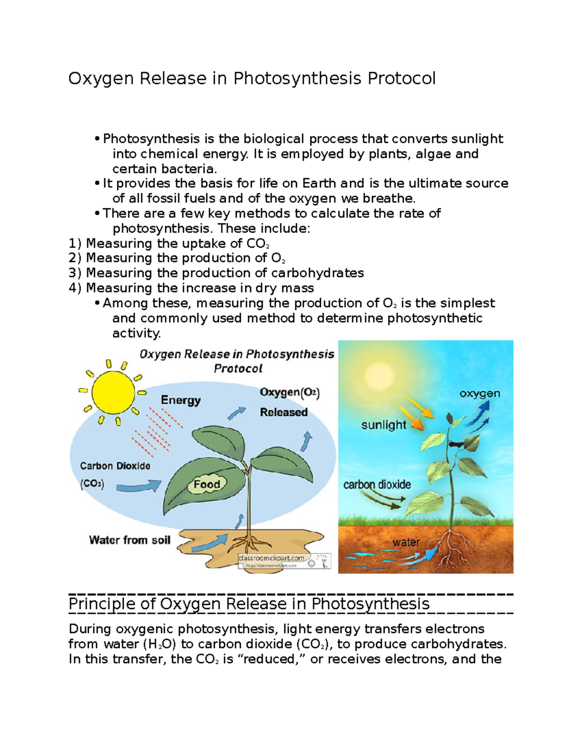 Oxygen Release in Photosynthesis Protocol - It is employed by plants ...