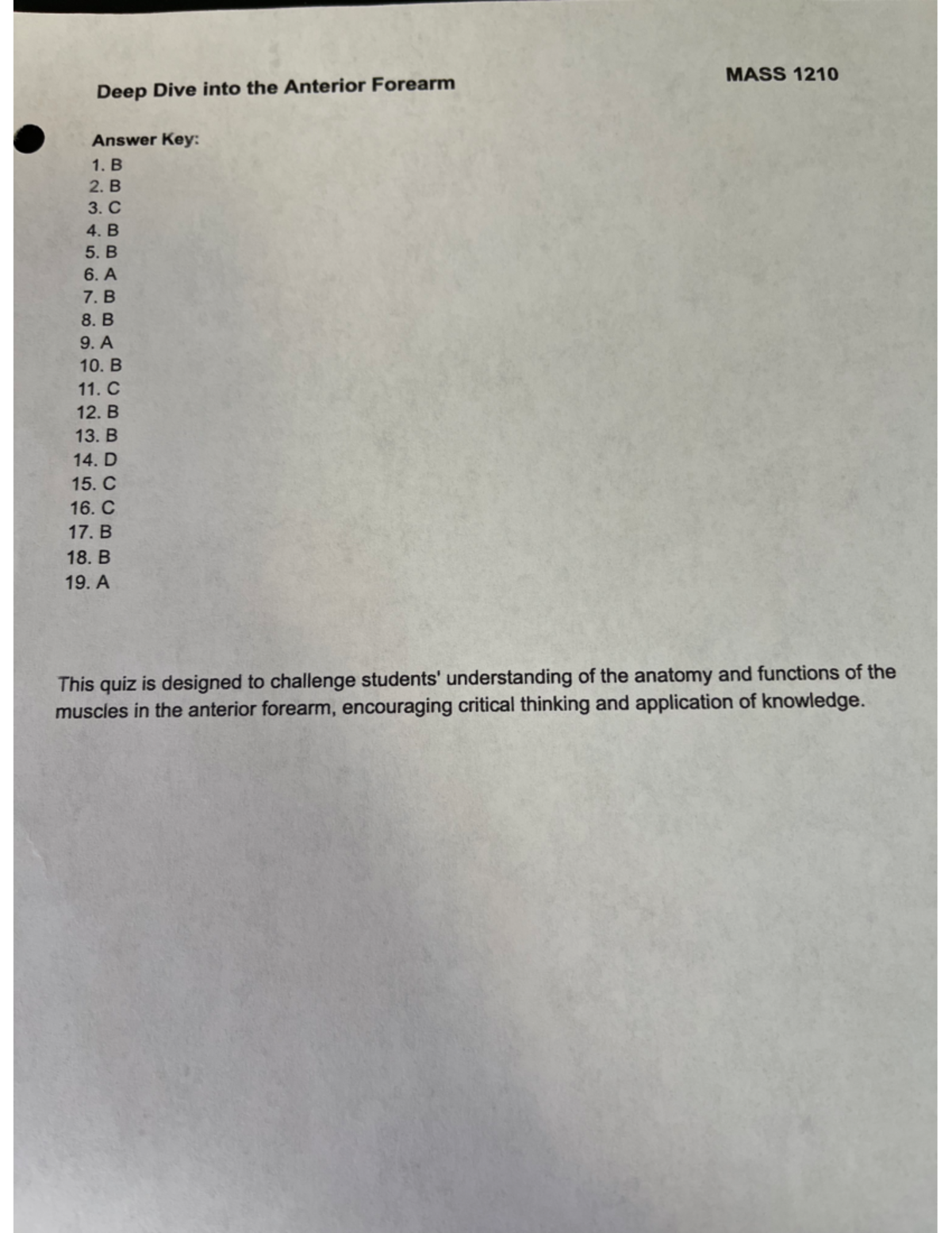 Ddaf3 - Deep dive into the anterior forearm with answer key 4 pages ...