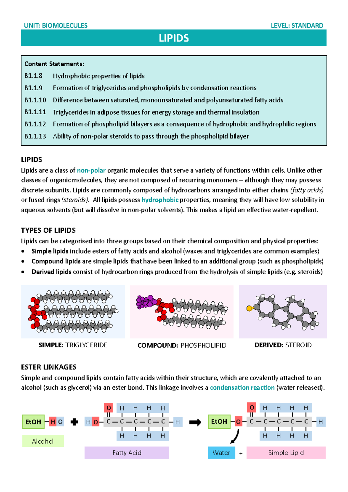 1.5 Lipids - These are biology ib notes - UNIT: BIOMOLECULES LEVEL ...