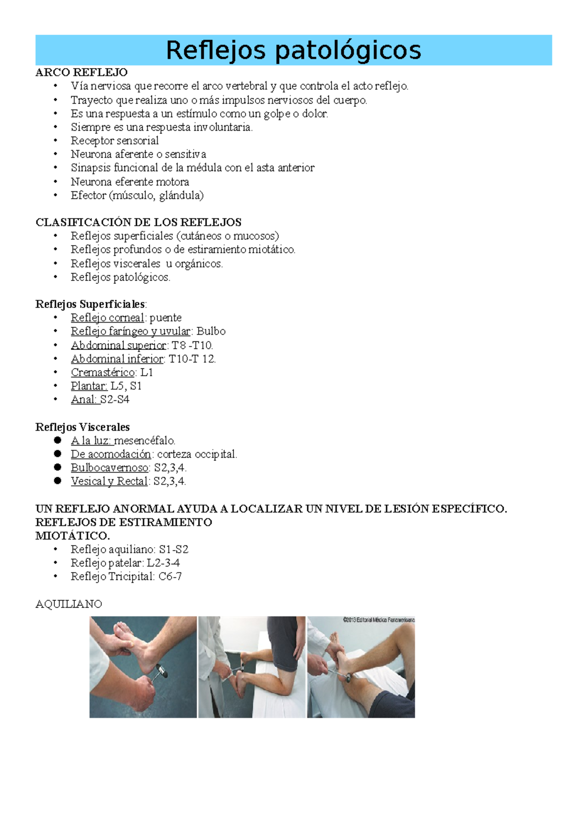 Reflejos patológicos - Resumen - Reflejos patológicos ARCO REFLEJO Vía ...