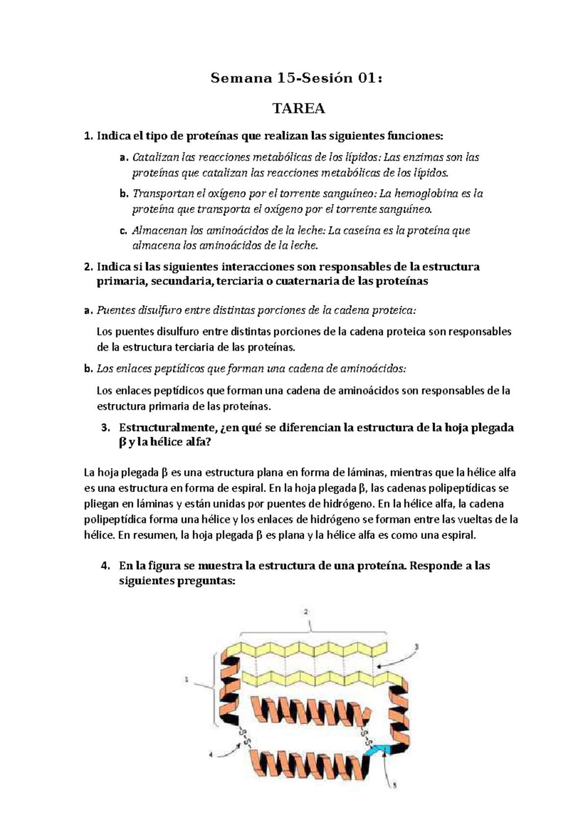S15.s1-Tarea Calificada - Semana 15-Sesión 01: TAREA Indica el tipo de ...