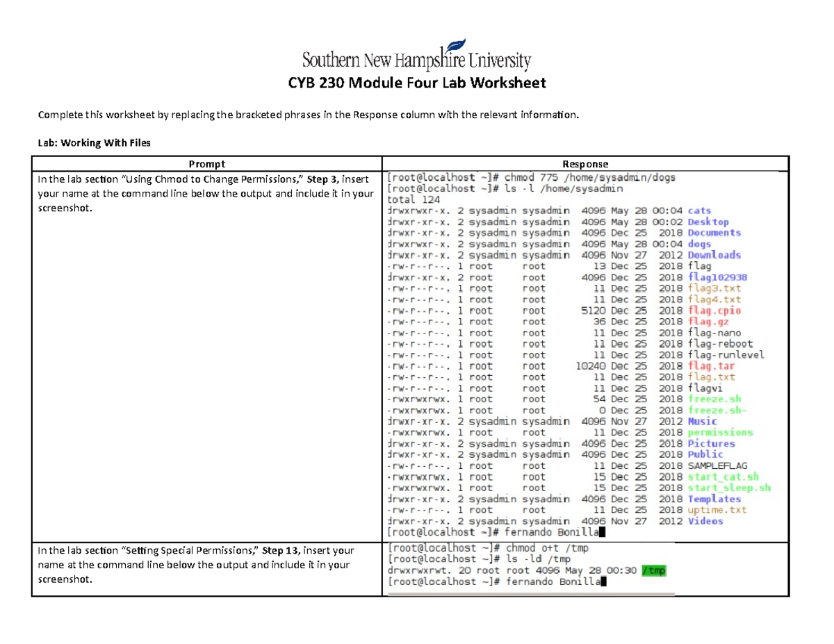 CYB 230 4-2 Fernando Bonilla - CYB 230 Module Four Lab Worksheet ...