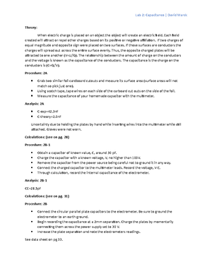 Lab Report for the record. Enough already - Lab Electric Field ...