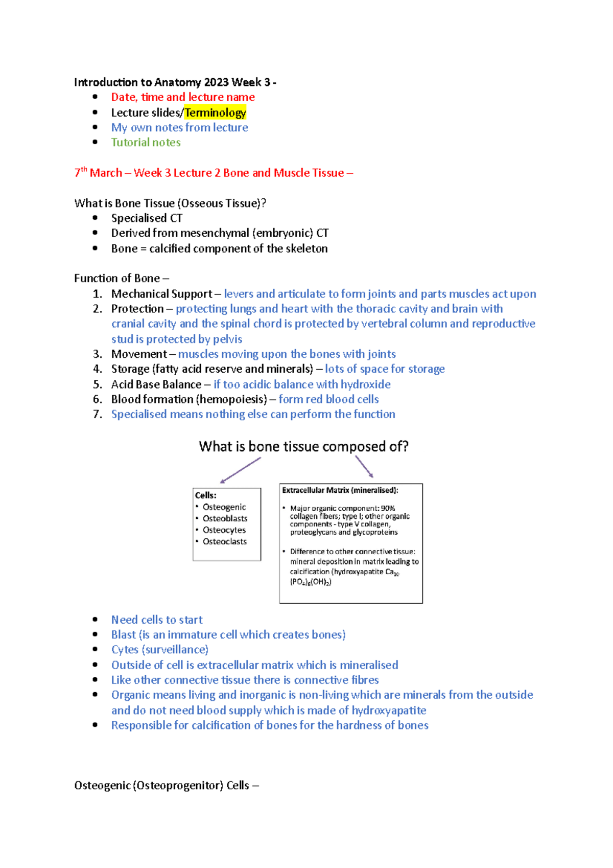 Week 3 Lesson 2 - Introduction to Anatomy 2023 Week 3 - Date, time and lecture name Lecture ...