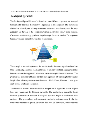 Energy Flow and Nutrient Cycling in the Ecosystems - Ecology Energy ...