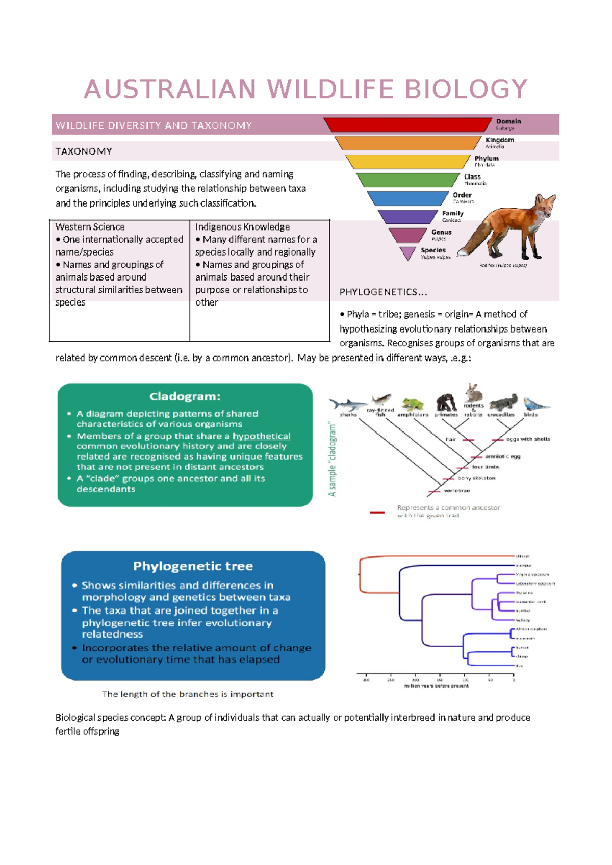 Australian Wildlife Biology - AUSTRALIAN WILDLIFE BIOLOGY WILDLIFE ...
