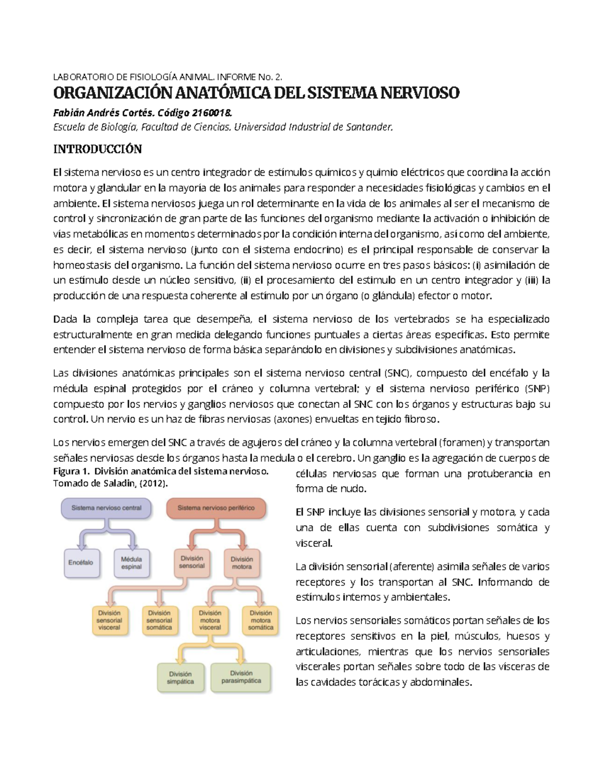 Fisiología animal. Organización anatómica del sistema nervioso - Warning: TT: undefined function ...