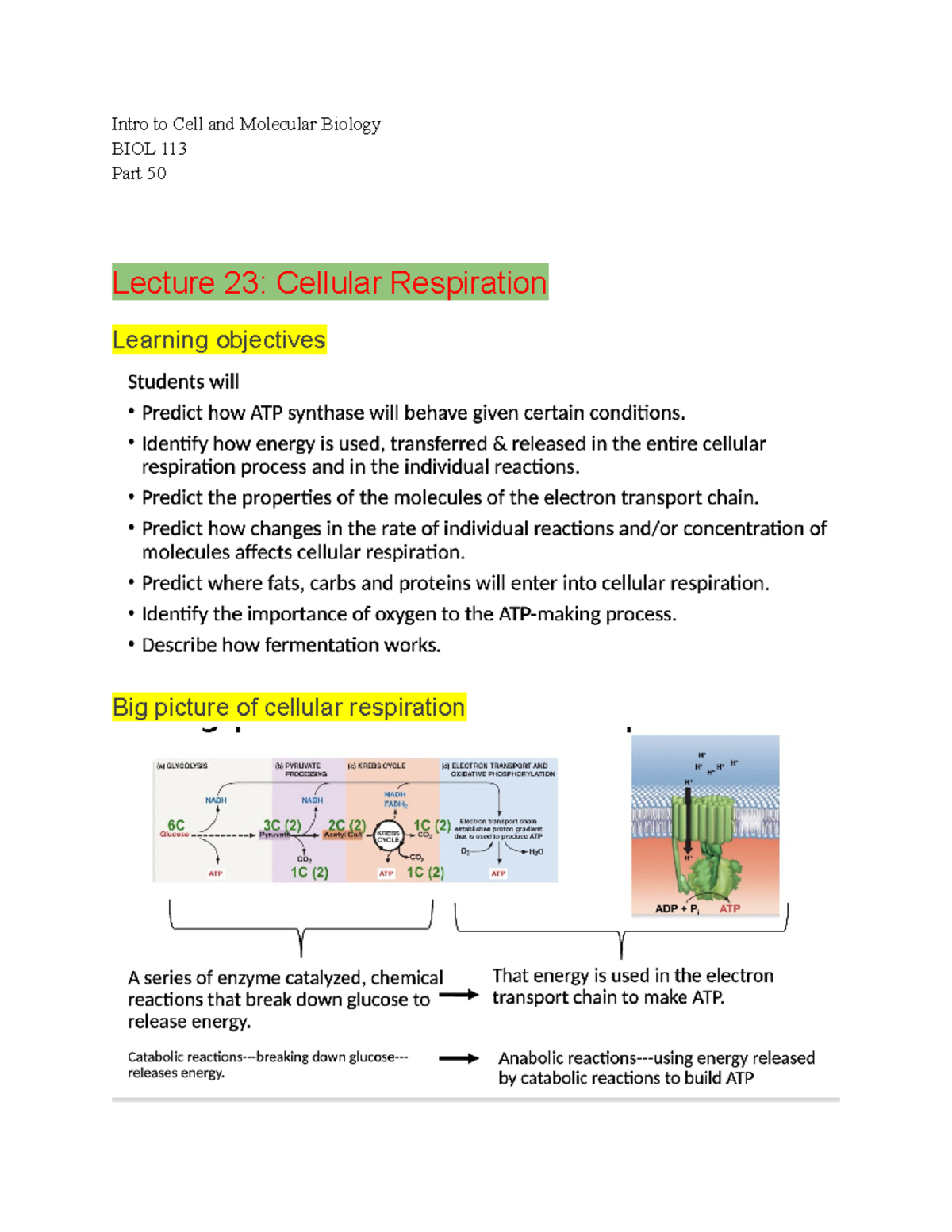 Intro To Cell And Molecular Bio 113 Lecture Notes Part 50 Dr Sarah
