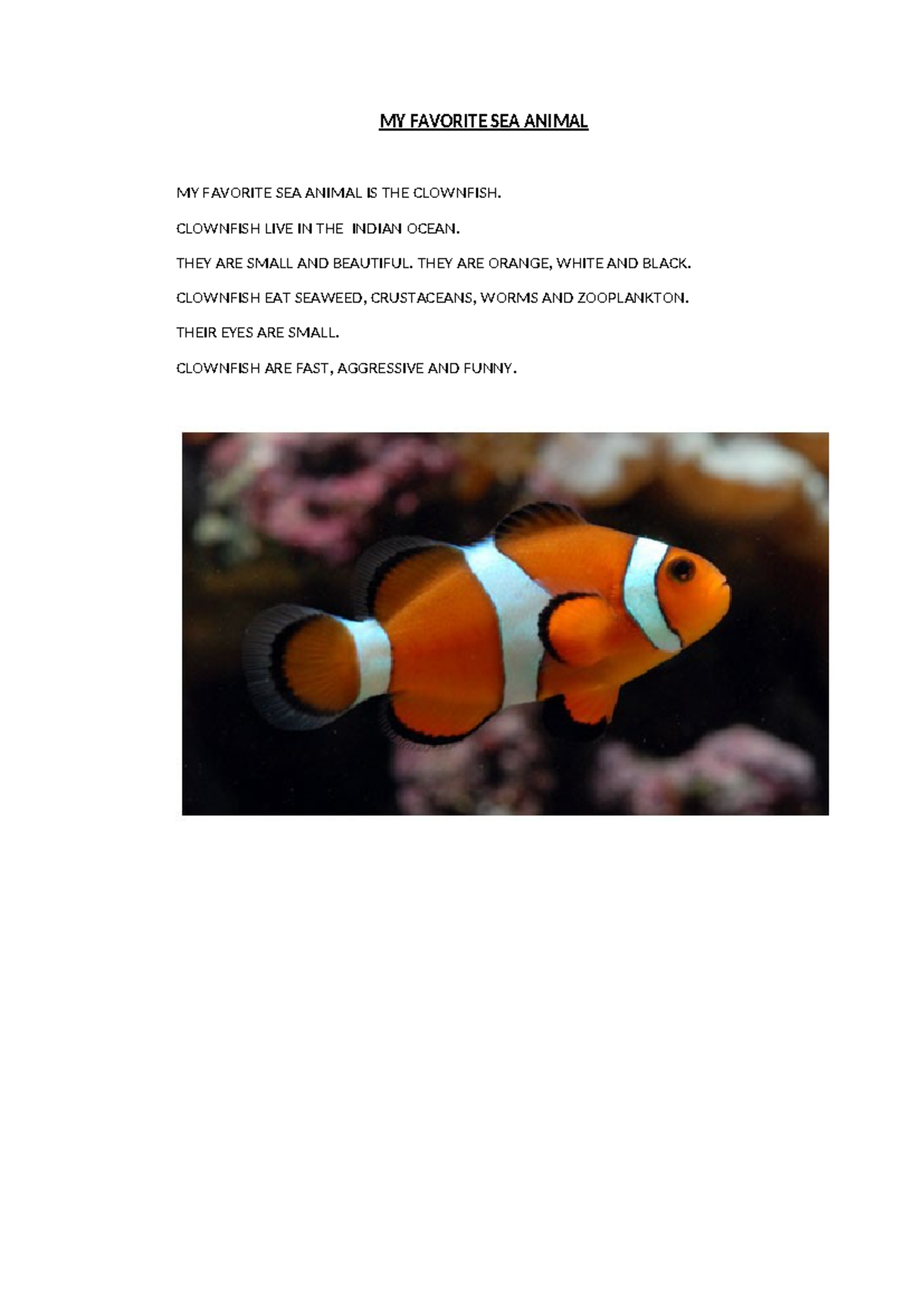 MY Favorite SEA Animal - Estadistica Quimica - MY FAVORITE SEA ANIMAL ...