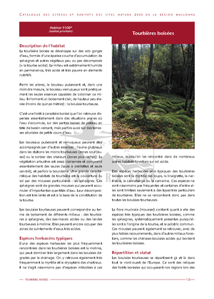 3270 vegetation-pionniere-nitrophile-des-berges-des-cours-d-eau - 1/ C ...