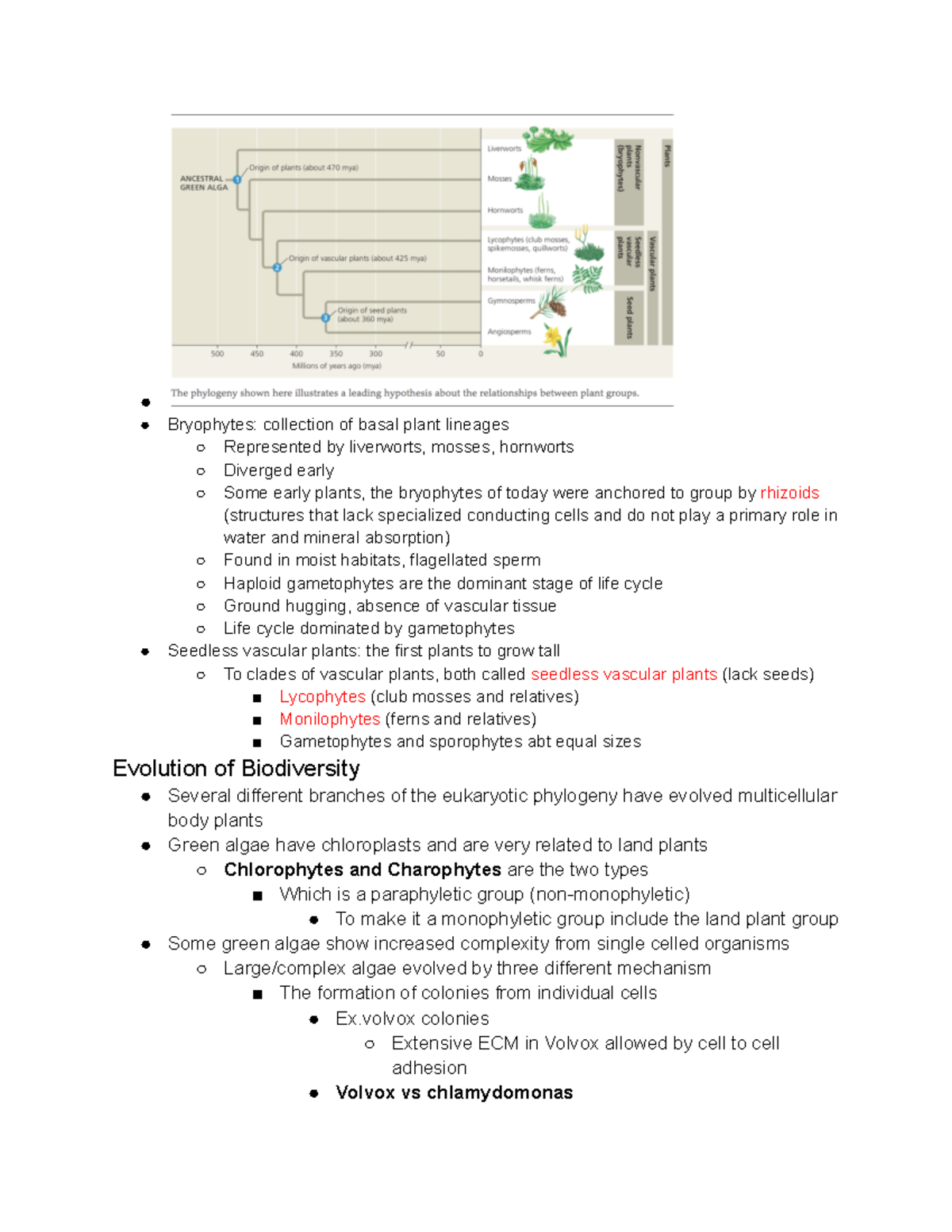 Module 7 Study Guide - Hansen - Ɣ Ɣ %U\RSK\WHV FROOHFWLRQ RI EDVDO ...
