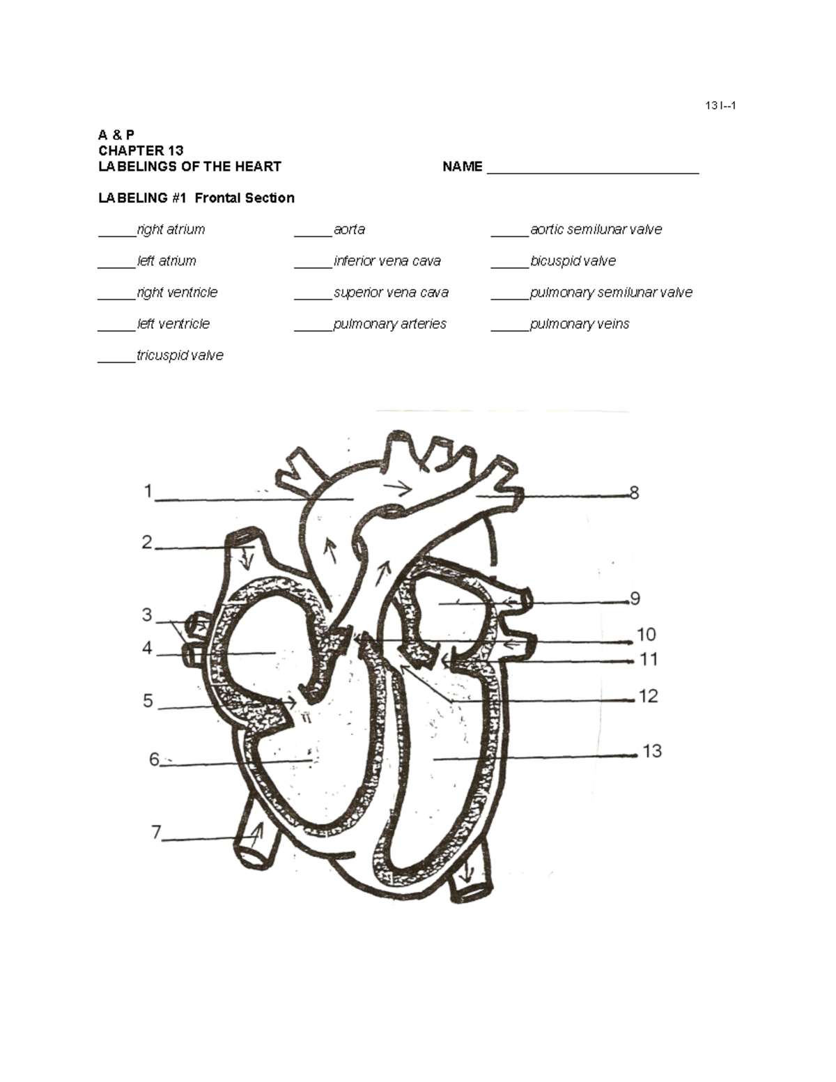 Labeling Lab - Heart - A & P CHAPTER 13 LABELINGS OF THE HEART NAME