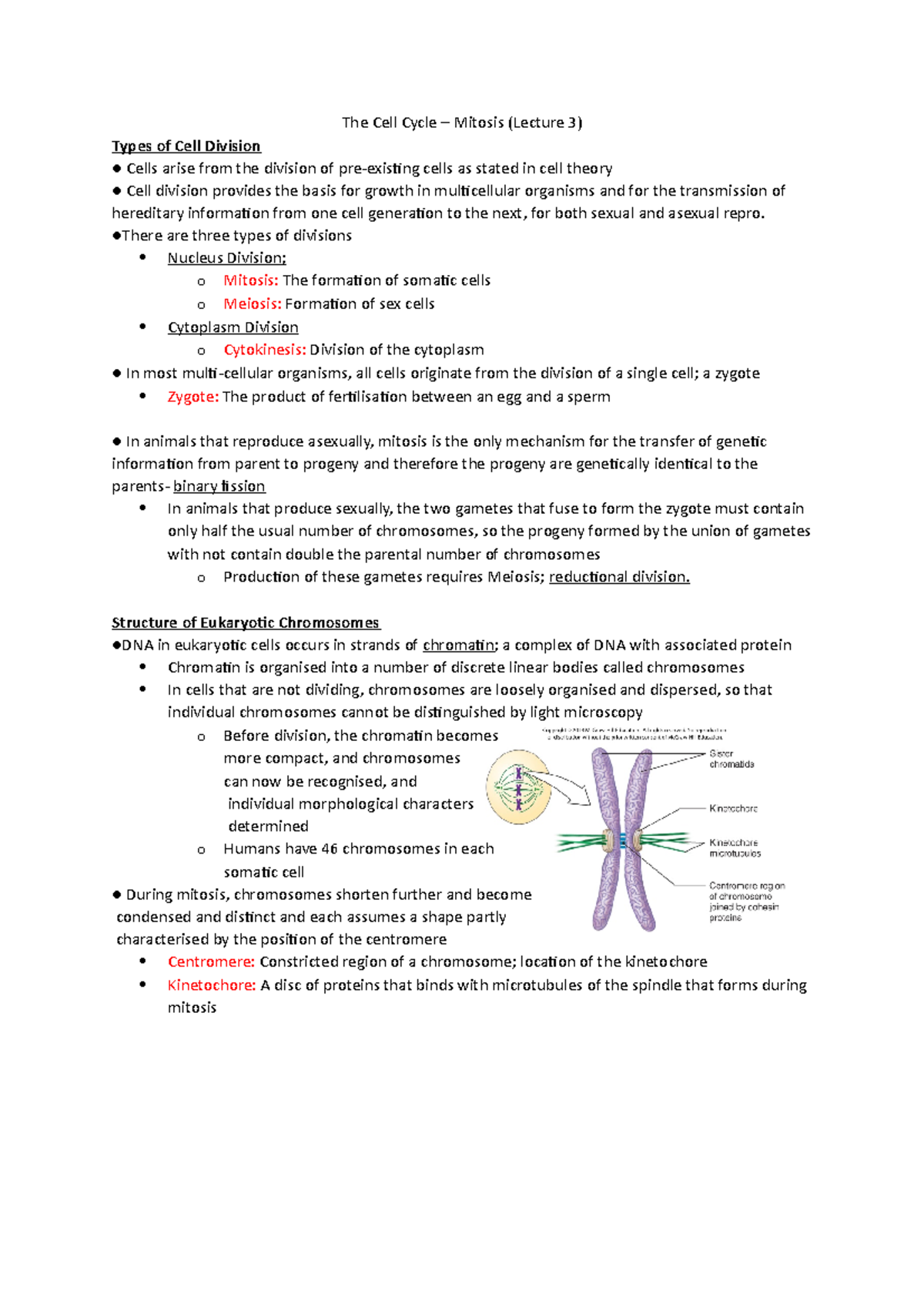 Lecture 3 Notes - The Cell Cycle – Mitosis (Lecture 3) Types of Cell ...
