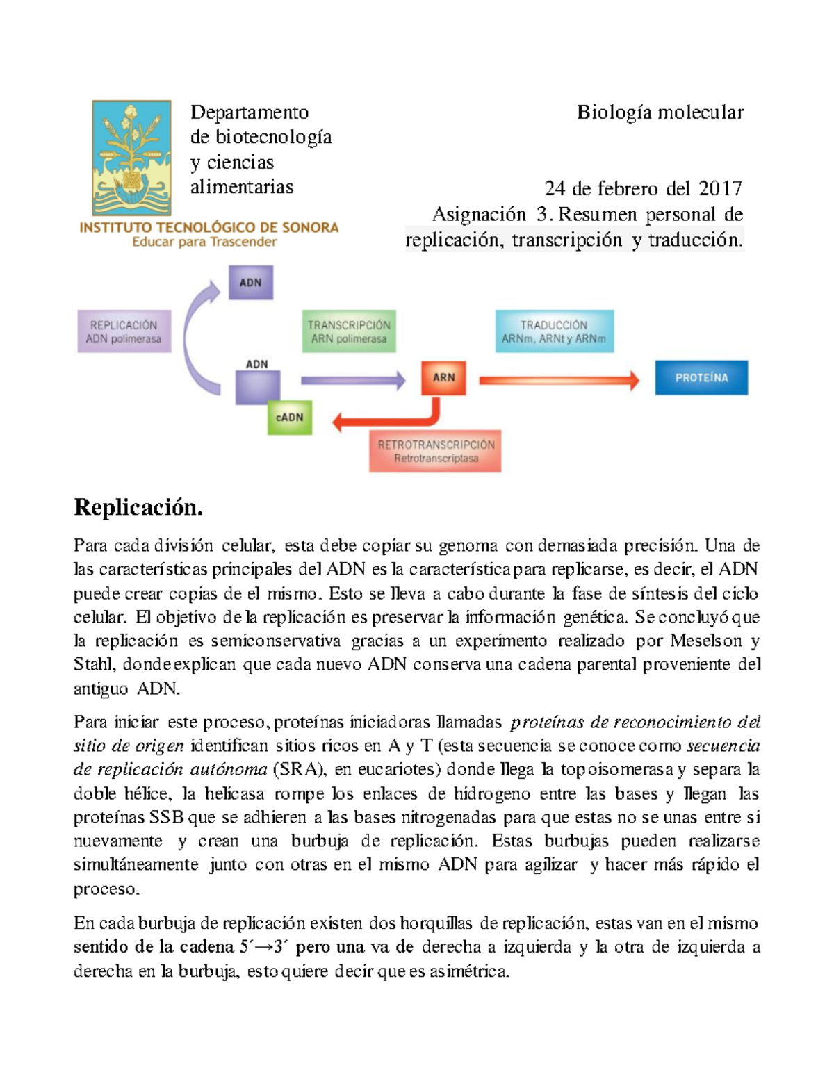 REPLICACION, TRANSCRIPCION Y TRADUCCION - StuDocu
