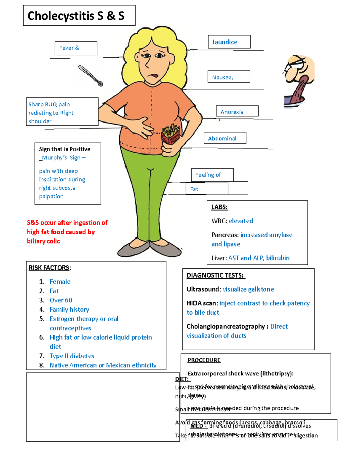 Gallbladder worksheet KEY - RISK FACTORS: 1. Female 2. Fat 3. Over 60 4 ...
