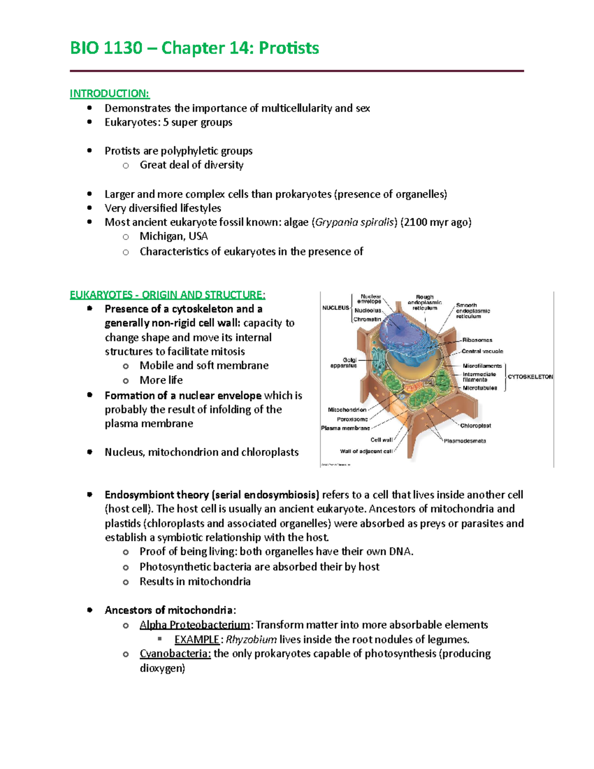 BIO 1130 - Chapter 14 - BIO 1130 – Chapter 14: Protists INTRODUCTION ...